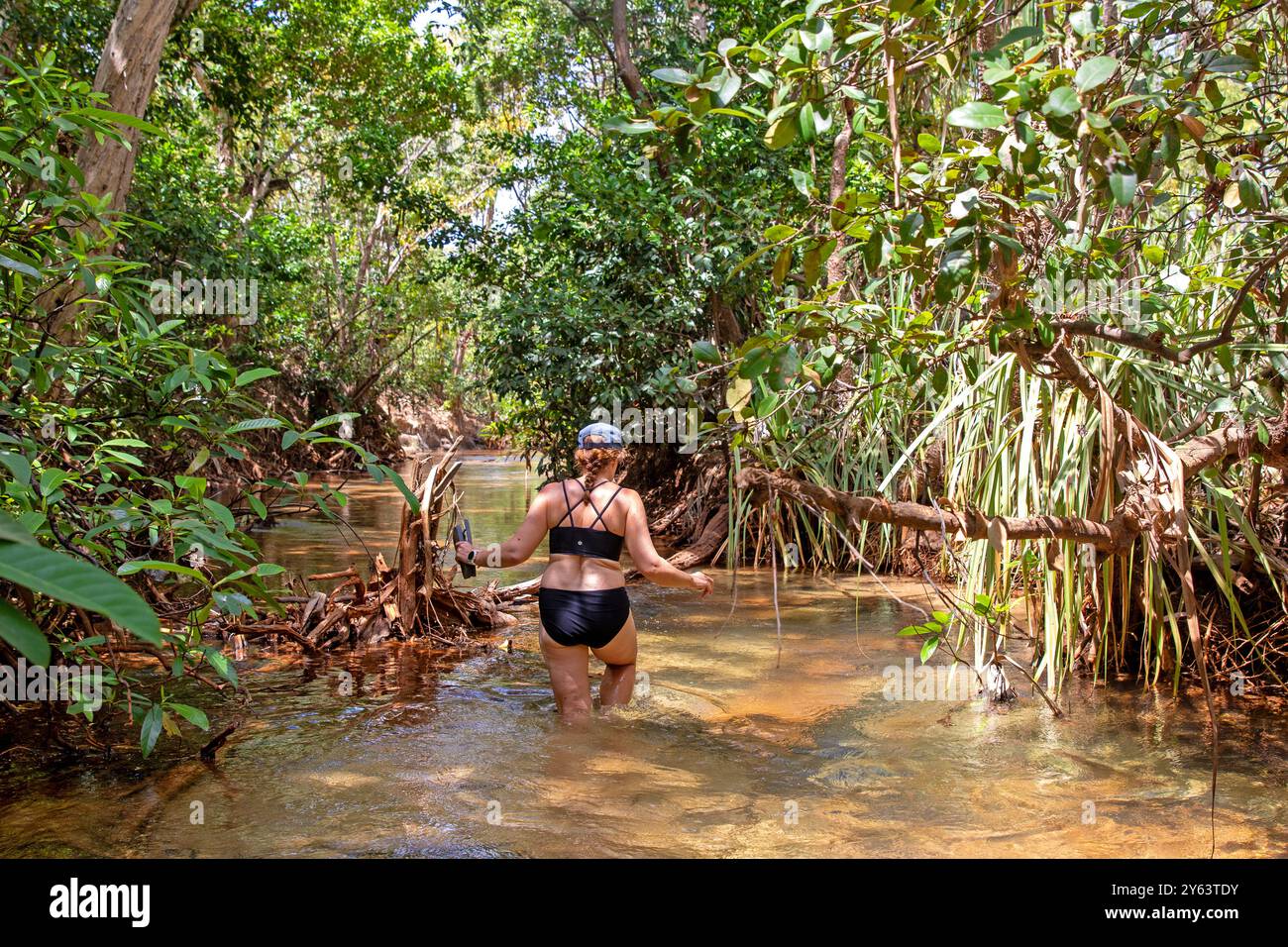 Wading through the creek at Latram (Wathawuy Stock Photo - Alamy