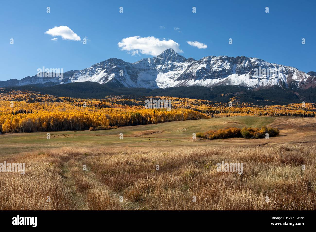 Autumn view of Wilson Peak in the San Juan Mountains near Telluride ...