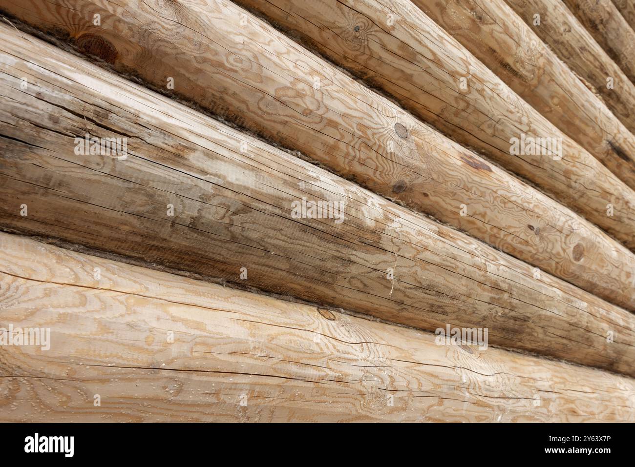 Wooden wall made of uncolored pine tree logs, perspective view ...