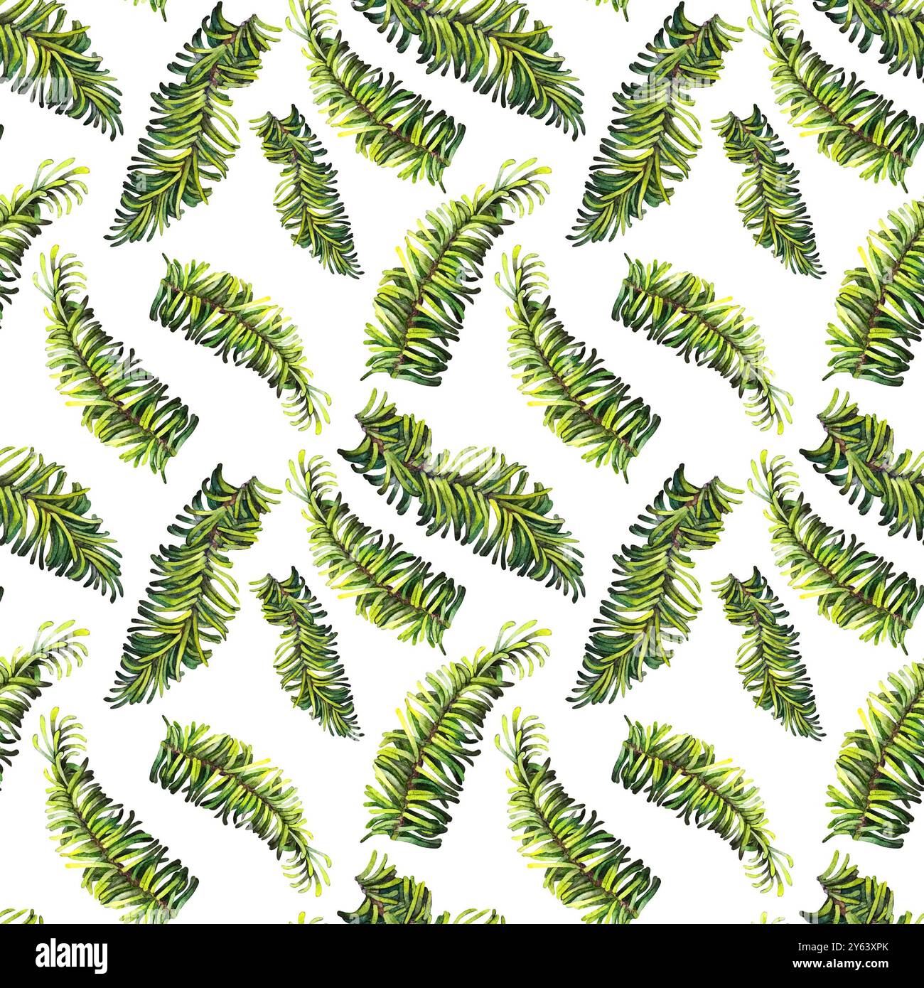 Seamless pattern with green fir branches. Watercolor hand drawn ...
