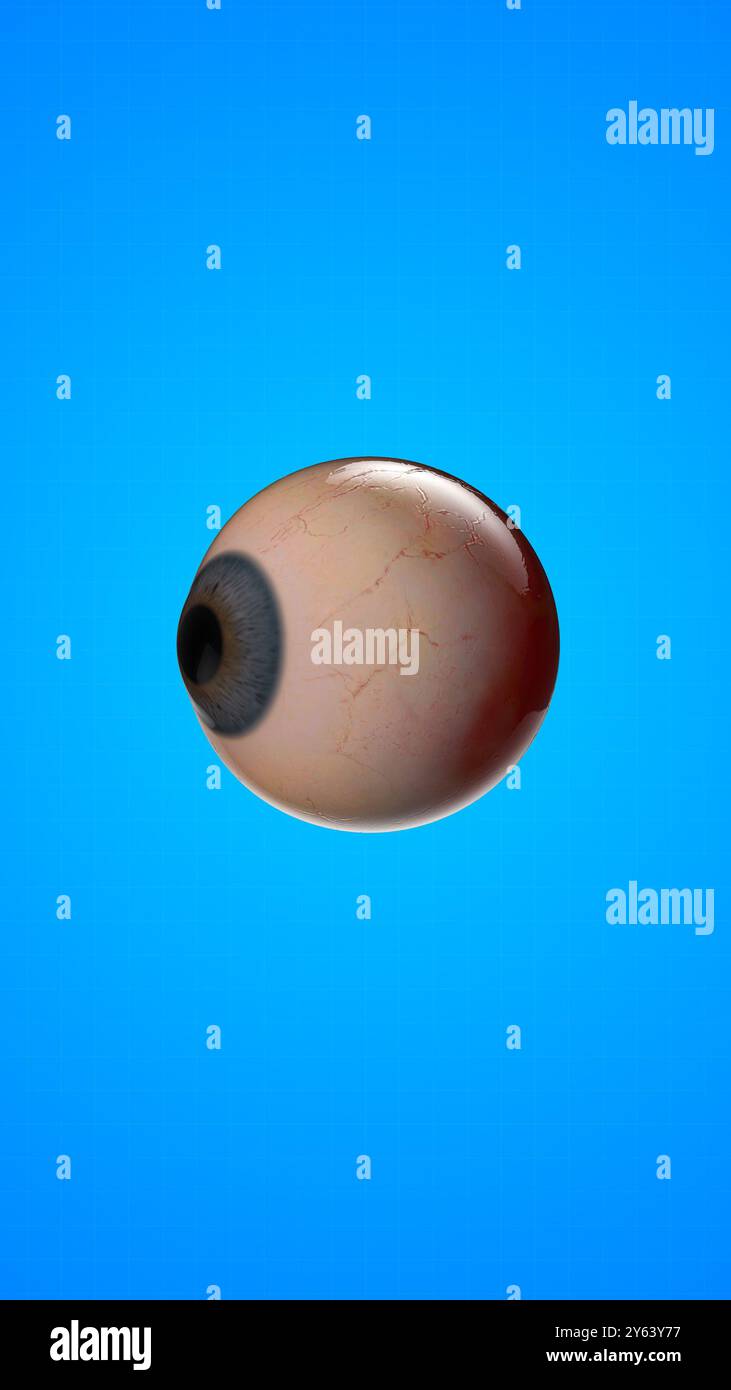 Human internal organ of eye Stock Photo - Alamy