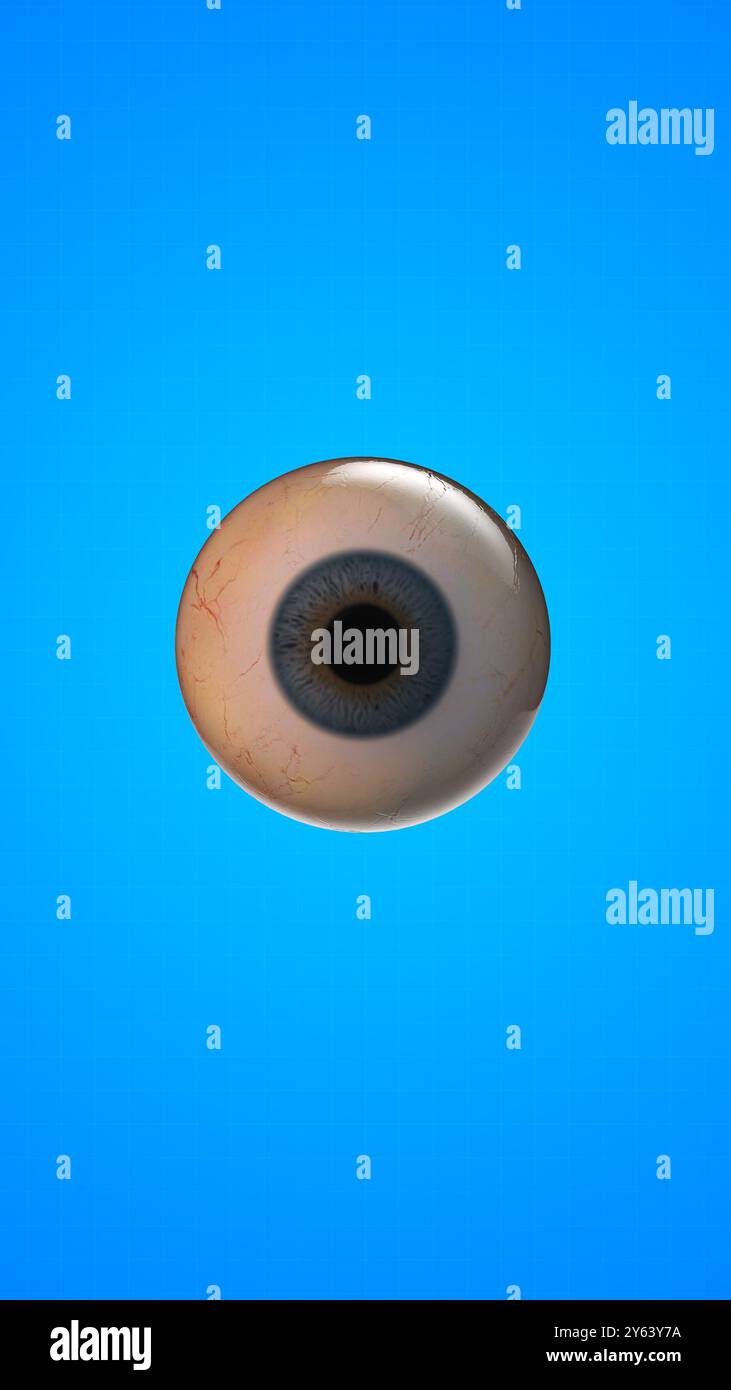 Human internal organ of eye Stock Photo - Alamy