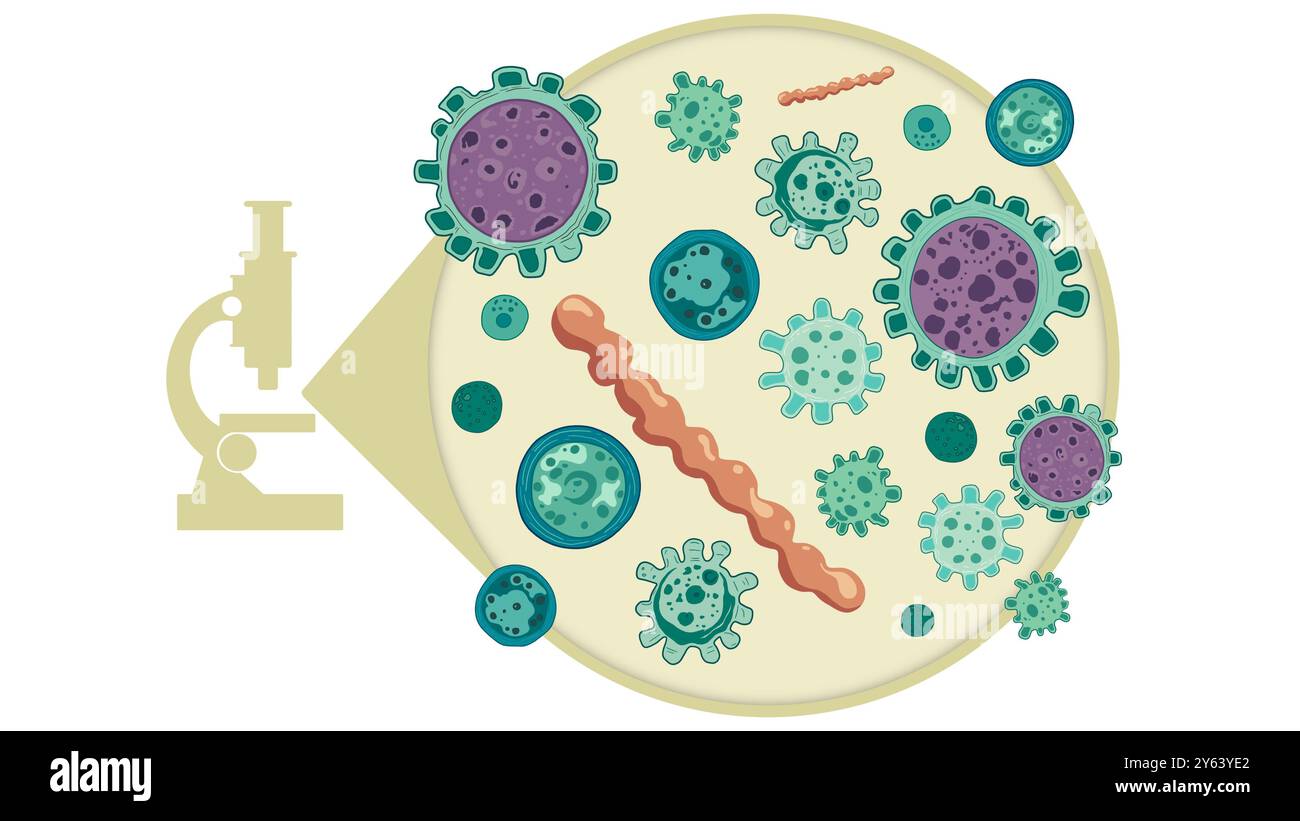Many microbes under a microscope close up for education, molecular ...