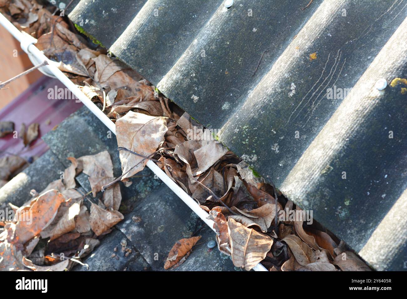 Common problem caused by clogged gutters with autumn leaves. Unclog ...