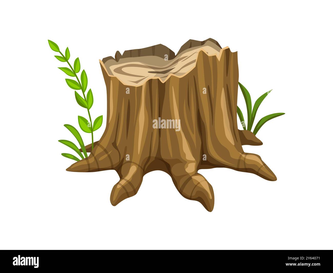 Cut tree stump surrounded Cut Out Stock Images & Pictures - Alamy
