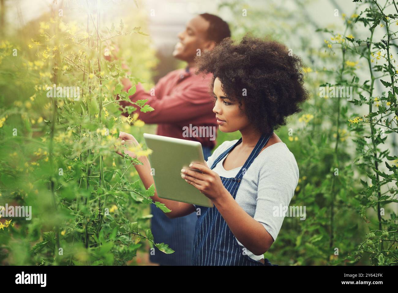 Business people, plants and conversation with tablet at farm for ...