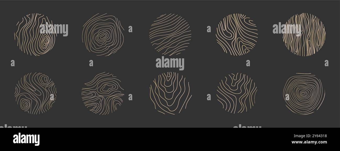 Golden thin line tree ring collection. Elegant gold wooden section ...