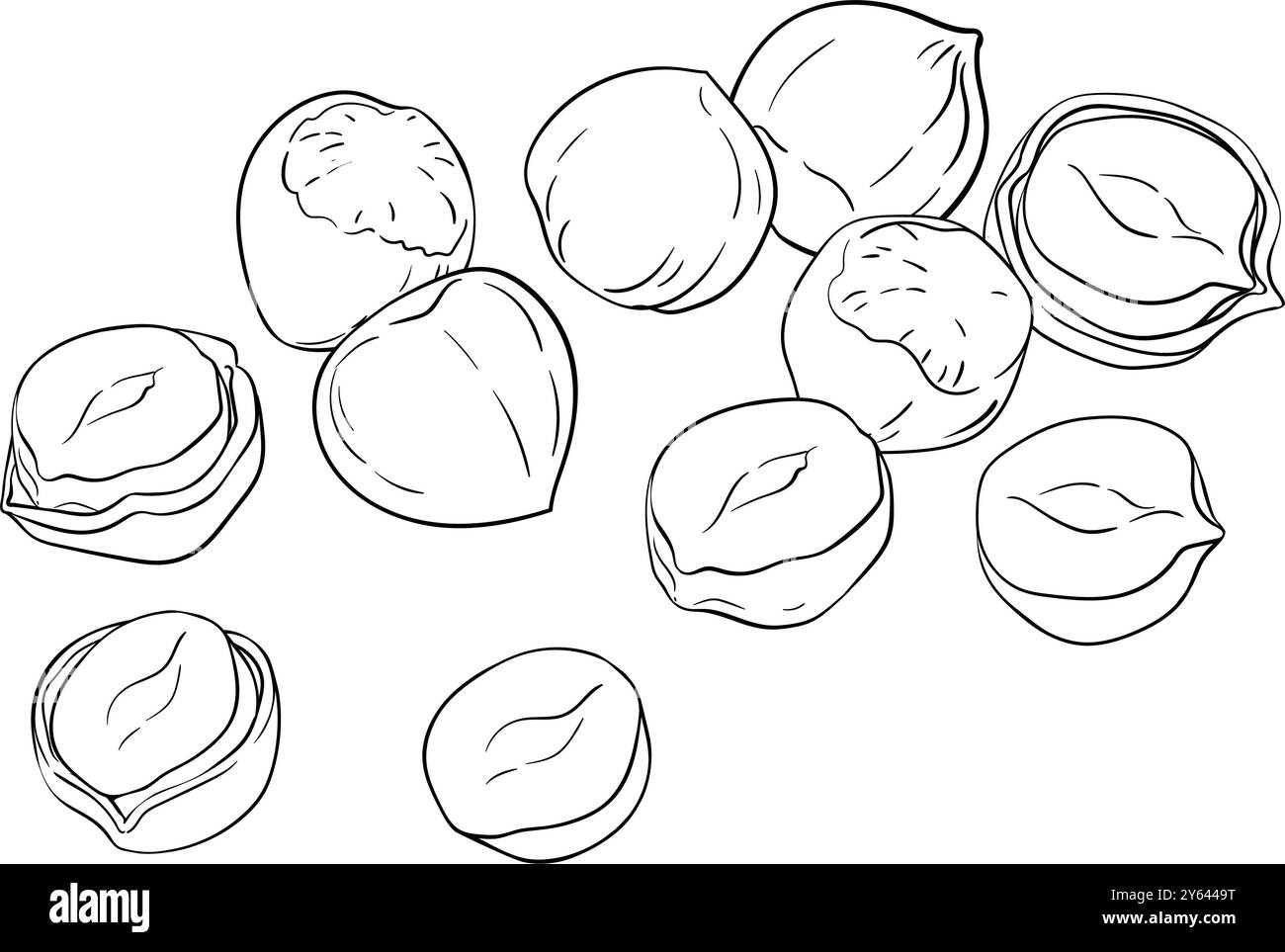 Hazelnut Nuts Isolated Outline Illustration Stock Vector Image & Art ...