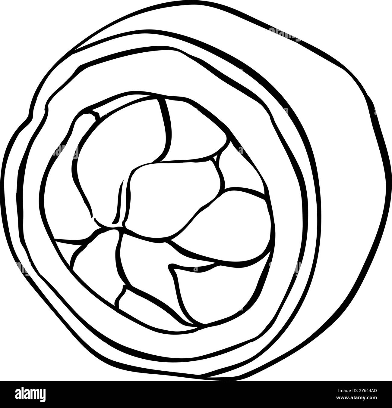 Brazil Nut Isolated Outline Illustration Stock Vector Image & Art - Alamy