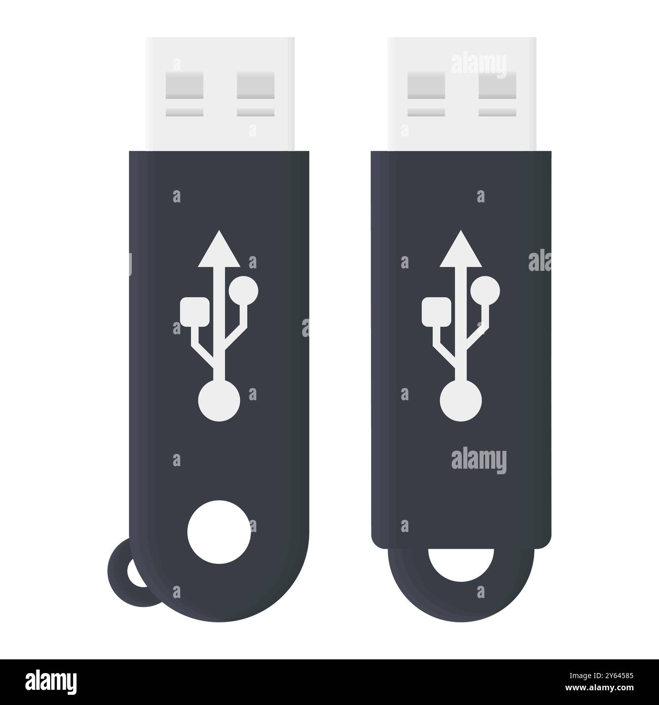 USB Flashdisk Data Transfer Black Vector. Portable Storage Flashdisk ...