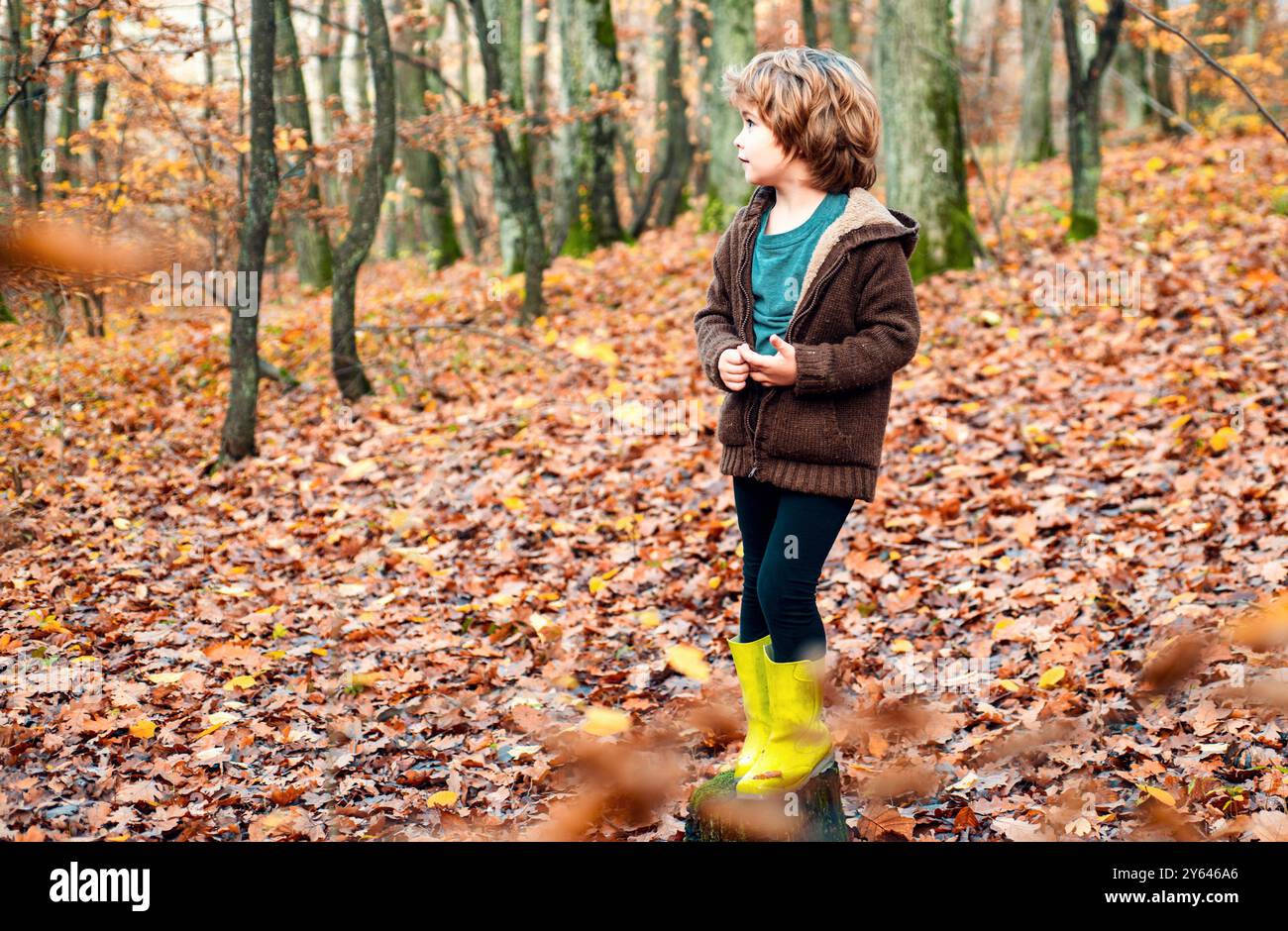 Autumn portrait of beautiful preschool boy in the park Stock Photo - Alamy