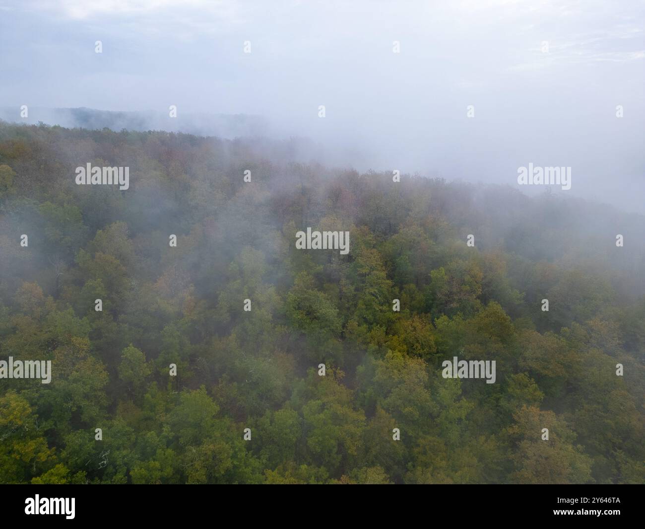 Aerial drone view flying over misty forested mountains in Strandzha ...