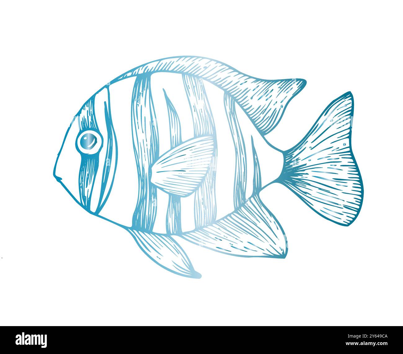 Vector tropical fish. Hand painted line exotic reef. Graphic tropical ...