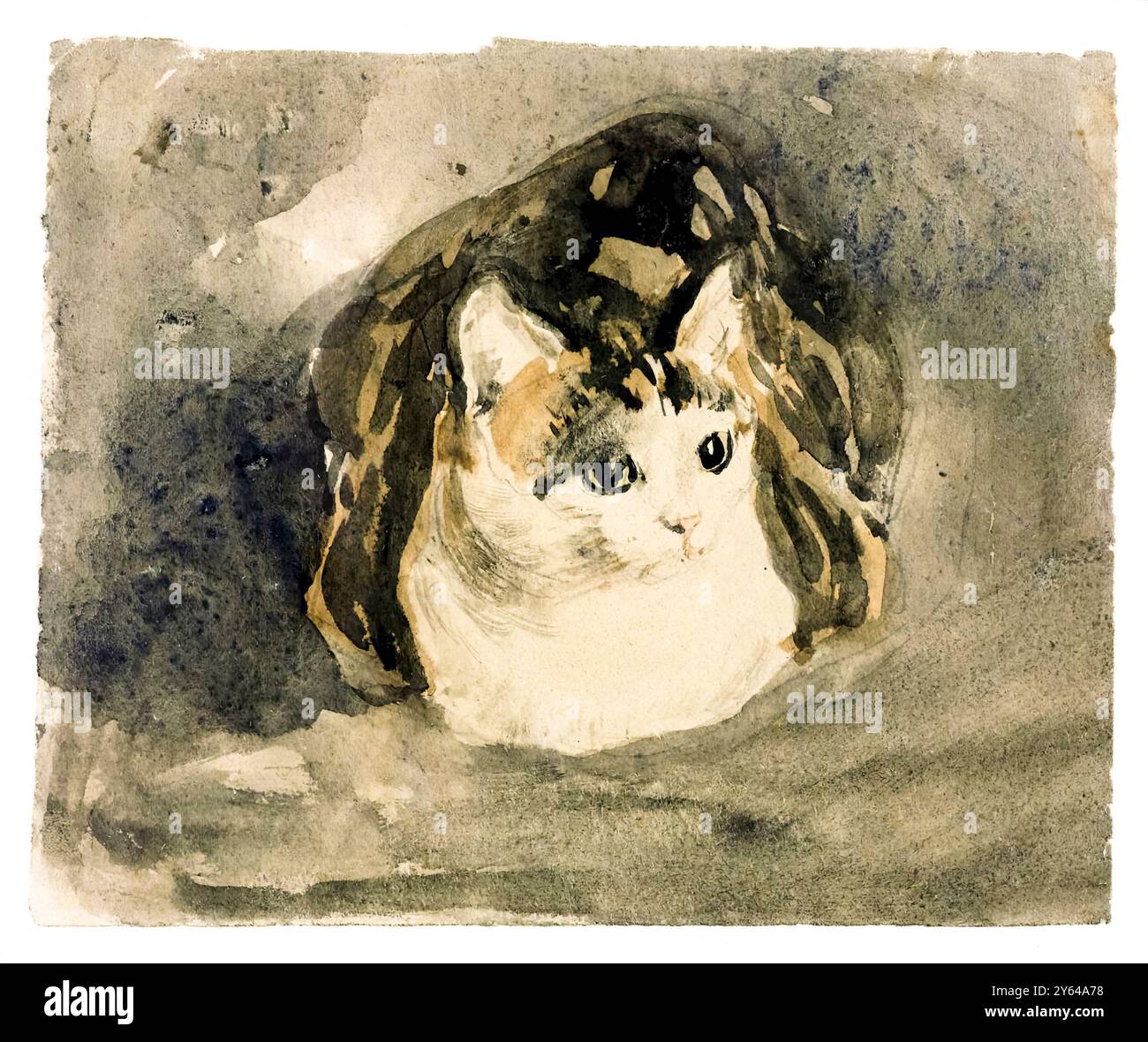 Gwen John, Cat, painting in pencil and watercolour, 1904-1908 Stock ...