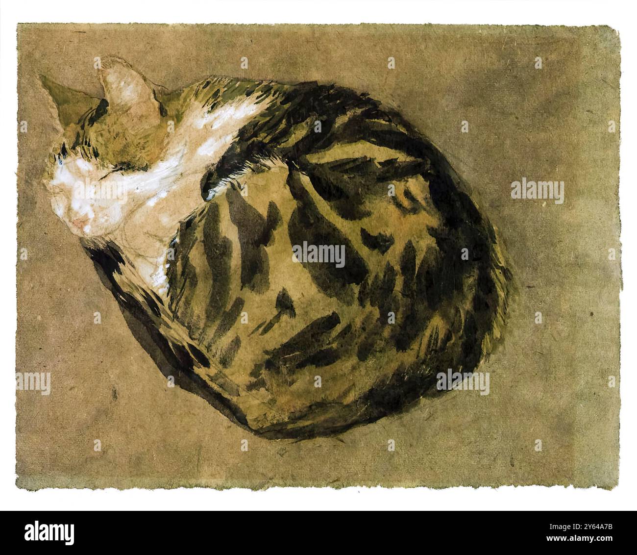 Gwen John, Cat, painting in pencil and watercolour, 1904-1908 Stock ...