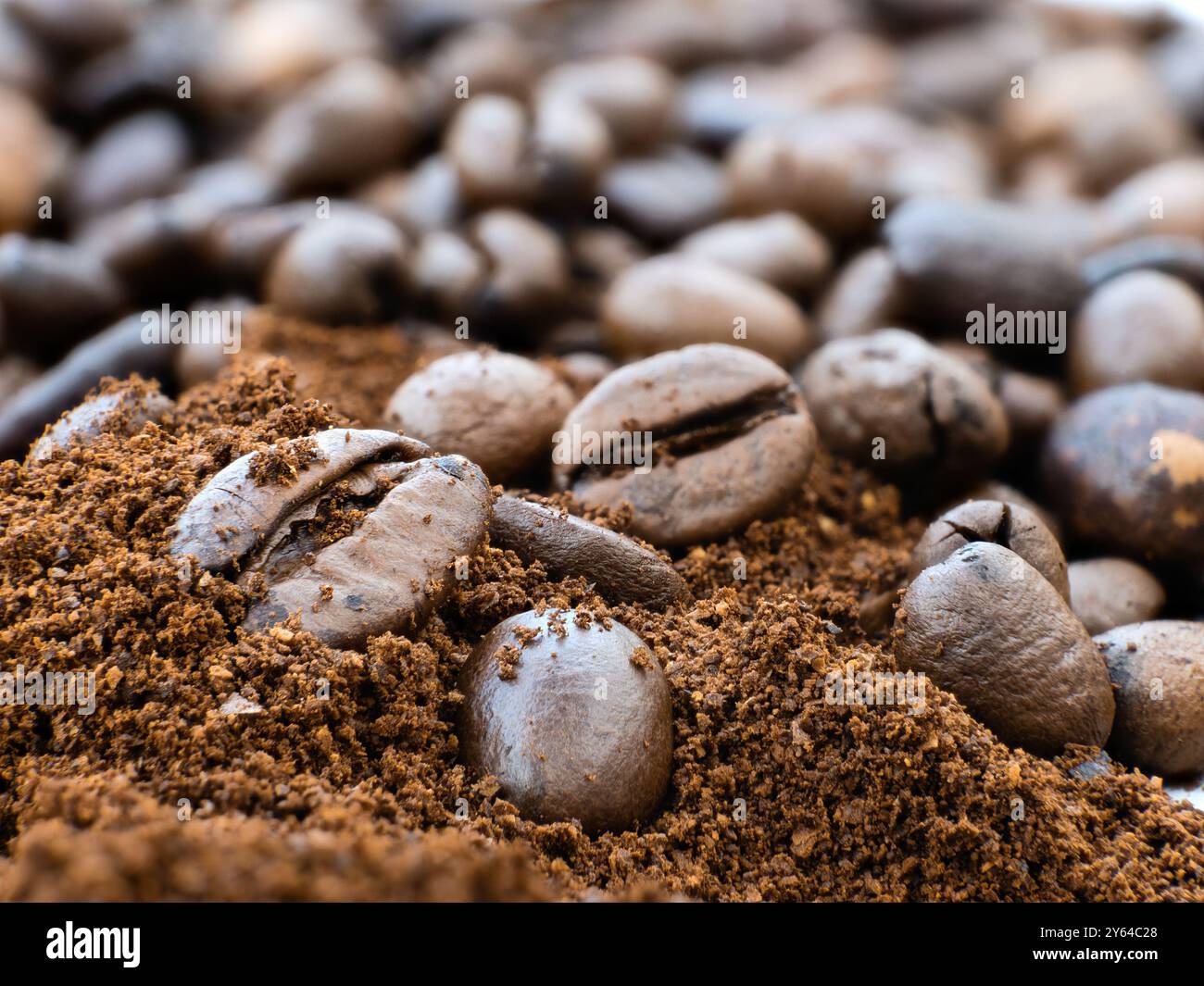 Macro photograph of ground aromatic coffee against a background of ...