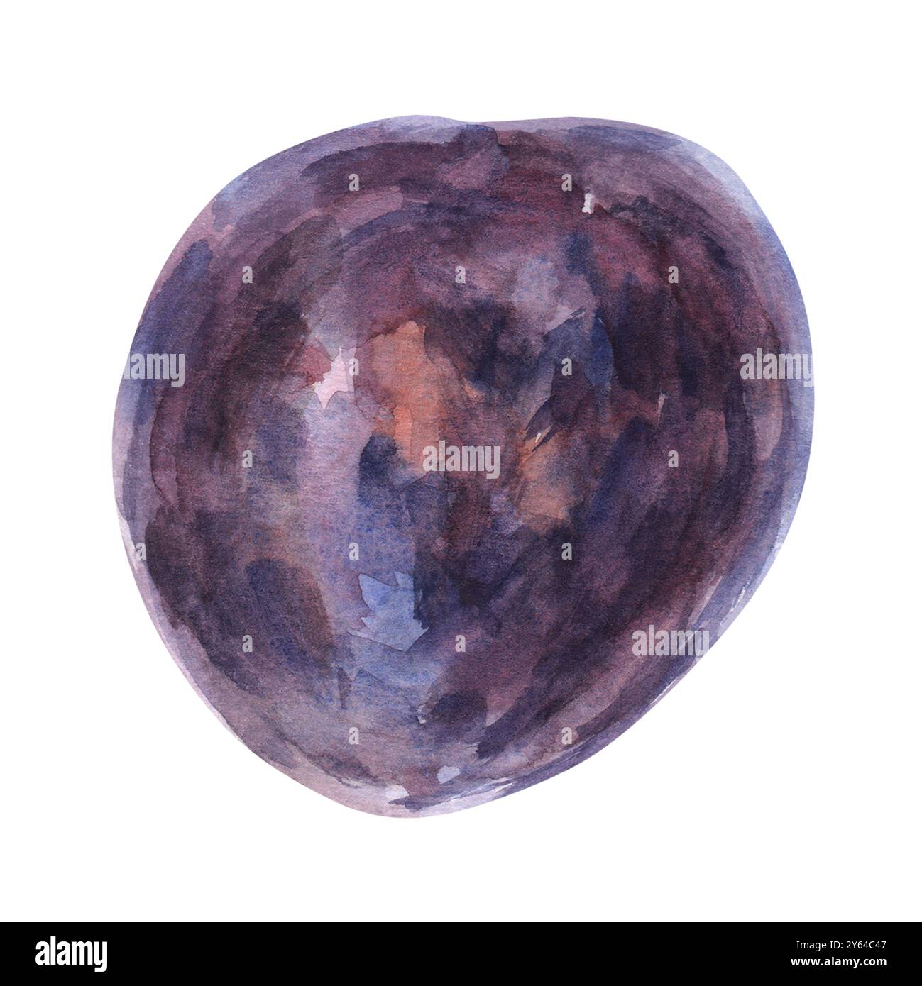 Plum hand-drawn watercolor illustration. Purple plum, prune, speckled ...