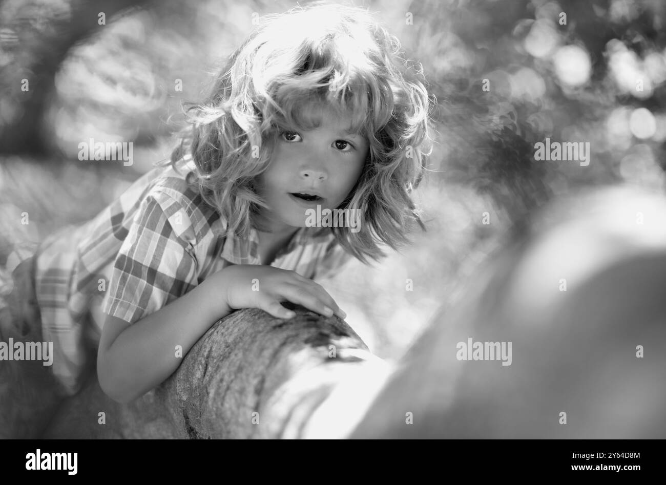 Kid boy playing and climbing a tree and hanging branch Stock Photo - Alamy