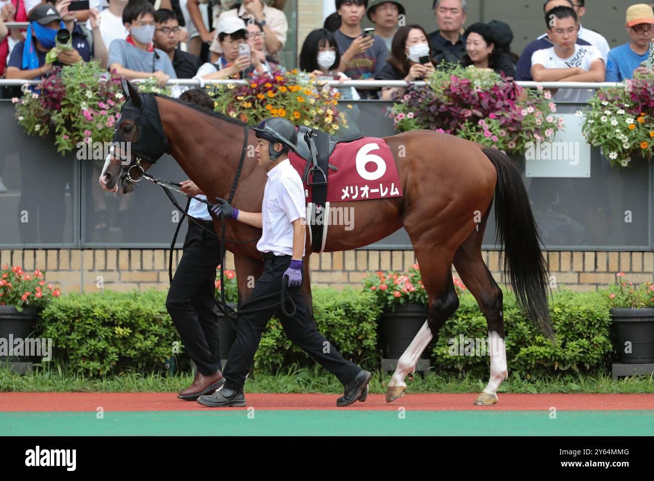 2024/09/22 CHUKYO 11R THE KOBE SHIMBUN HAI Meliorem at Chukyo ...