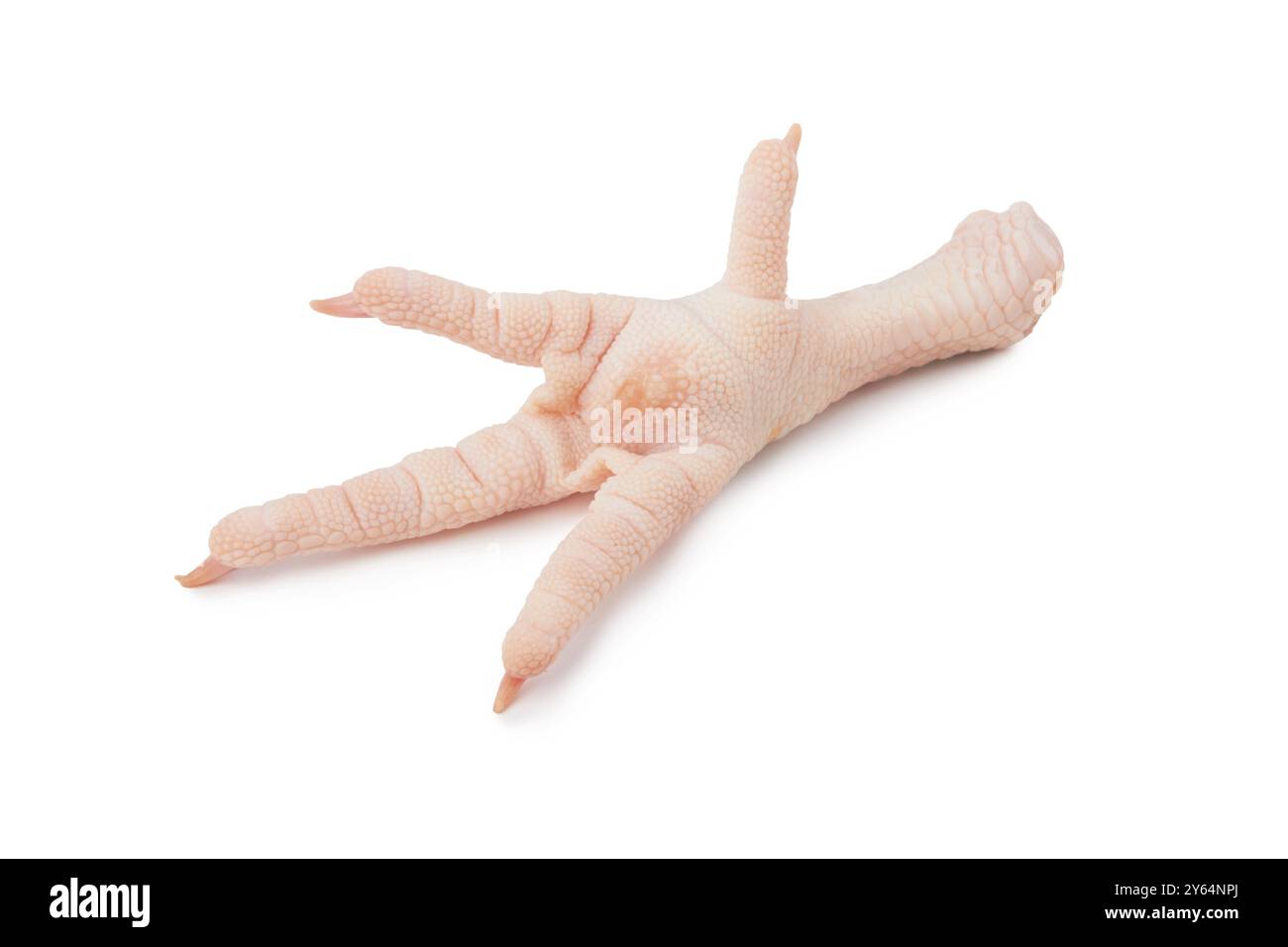 Raw chicken feet isolated on white background Stock Photo - Alamy