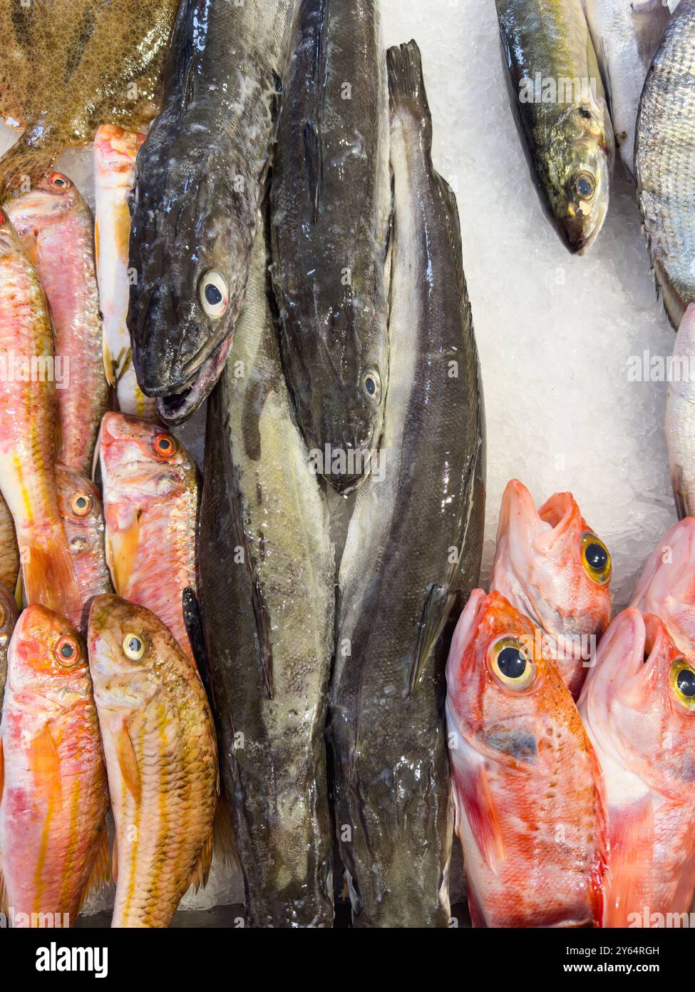 Fresh fish display at the market, ready for sale Stock Photo - Alamy