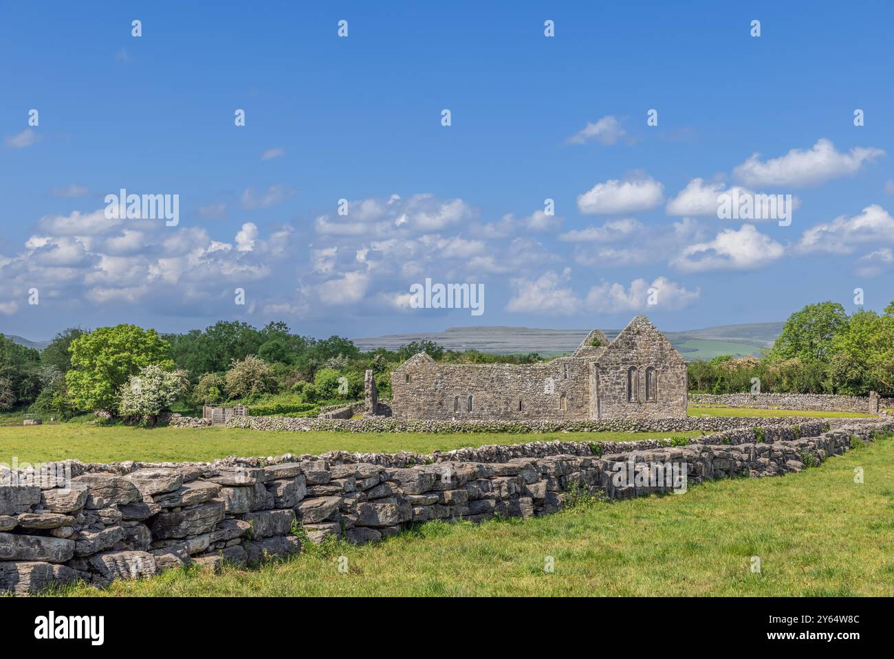 The stone ruins of Kilmacduagh Abbey in County Galway, Ireland, are ...