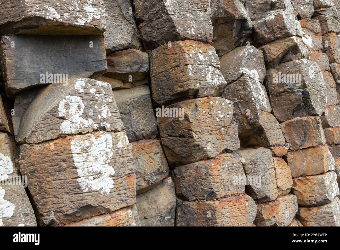 Detailed texture of Giant Causeway basalt columns, with clear signs of ...