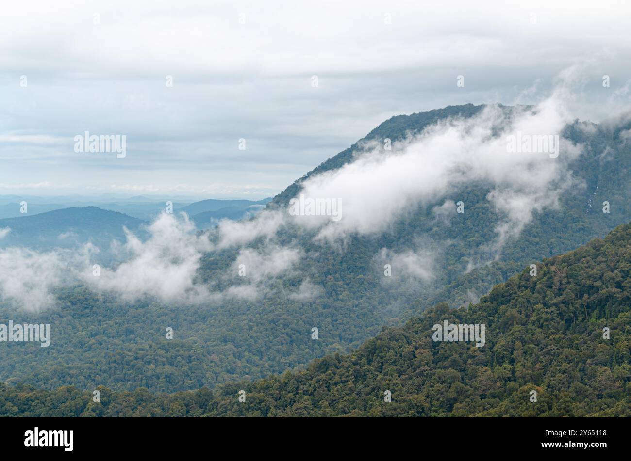 A beautiful view of Agumbe Ghats from a viewpoint, Karnataka Stock ...