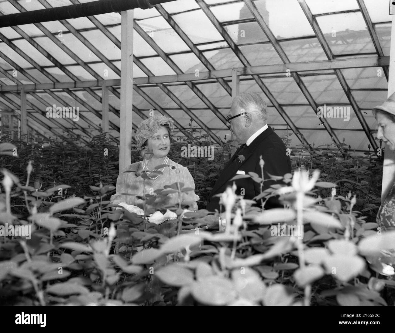 The Queen Mother visited various nurseries of the Lea Valley Growers ...