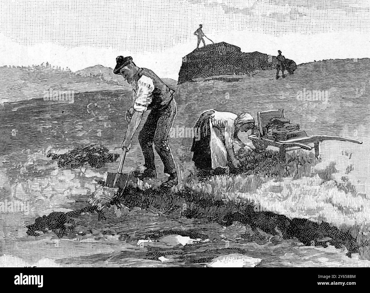 The Glenlivet Scotch Whisky Distillery Cutting peat , braes of ...