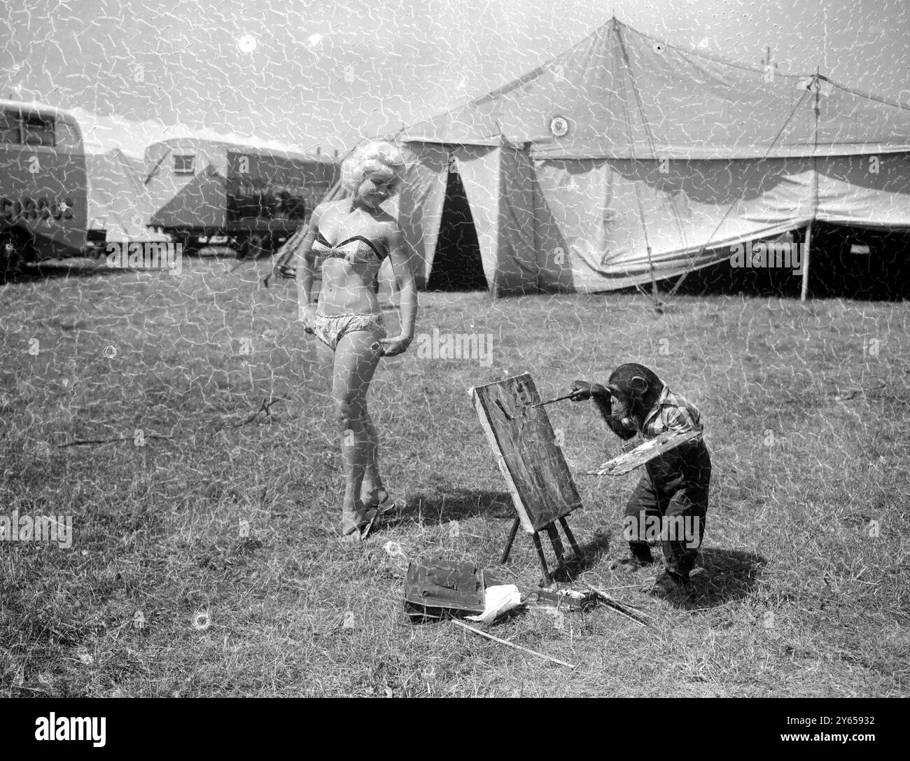 At the famous Billy Smart's Circus at present in Southampton , grand ...