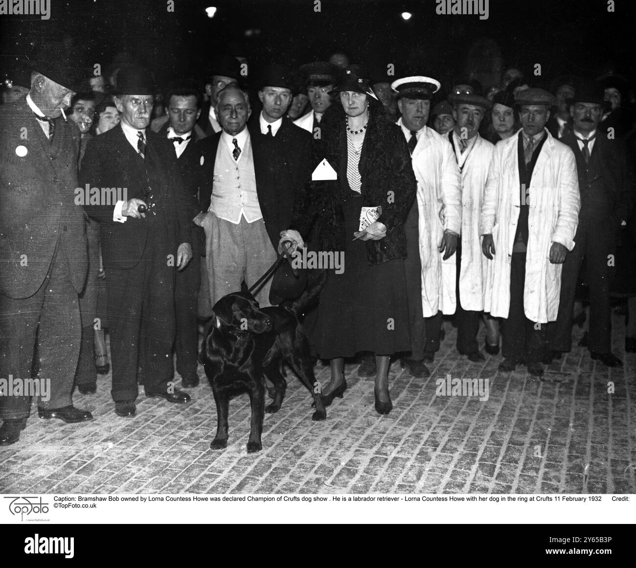 Bramshaw Bob owned by Lorna Countess Howe was declared Champion of ...