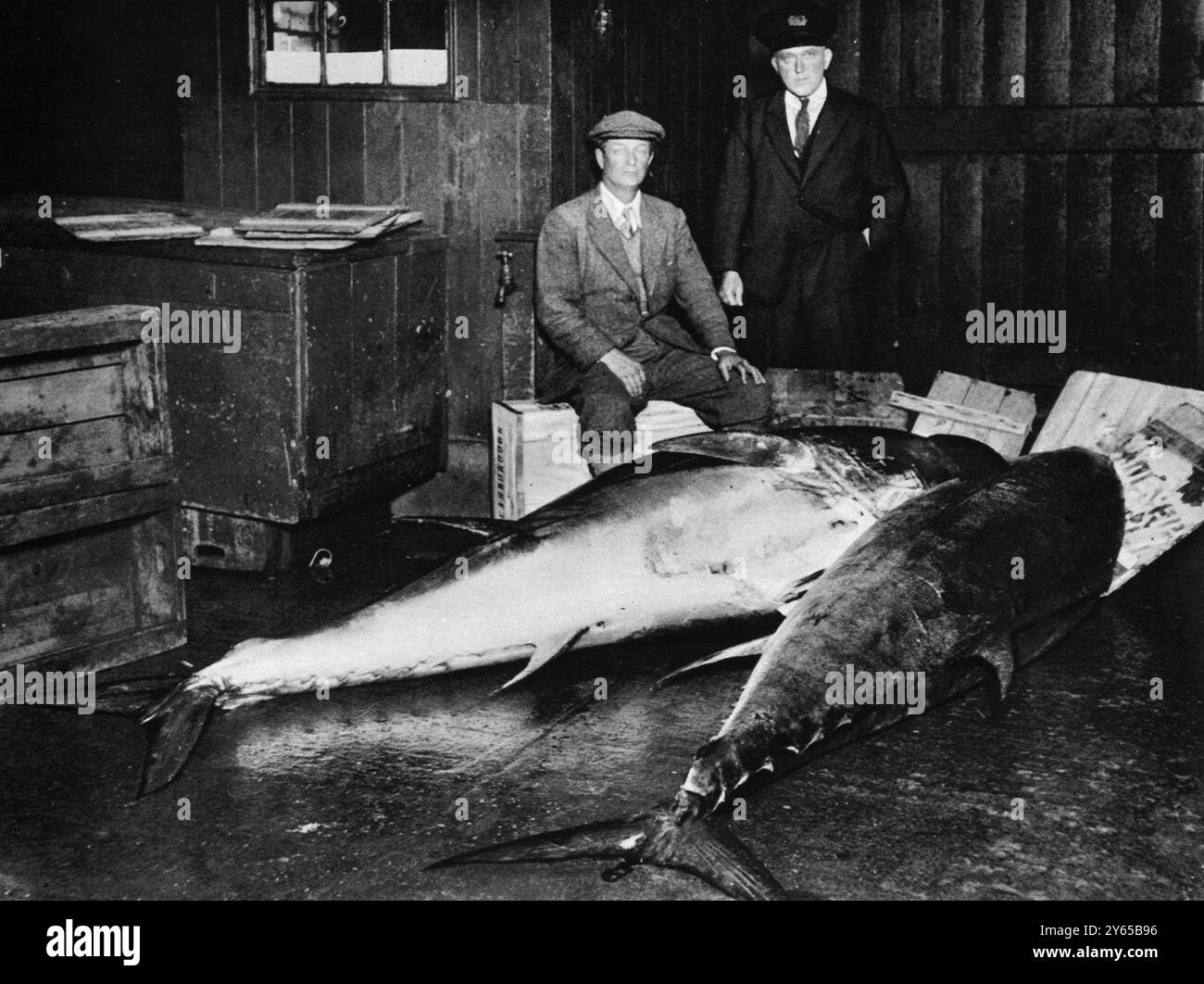 A new record in Tunny fishing . Colonel E T Peel ( President of the ...
