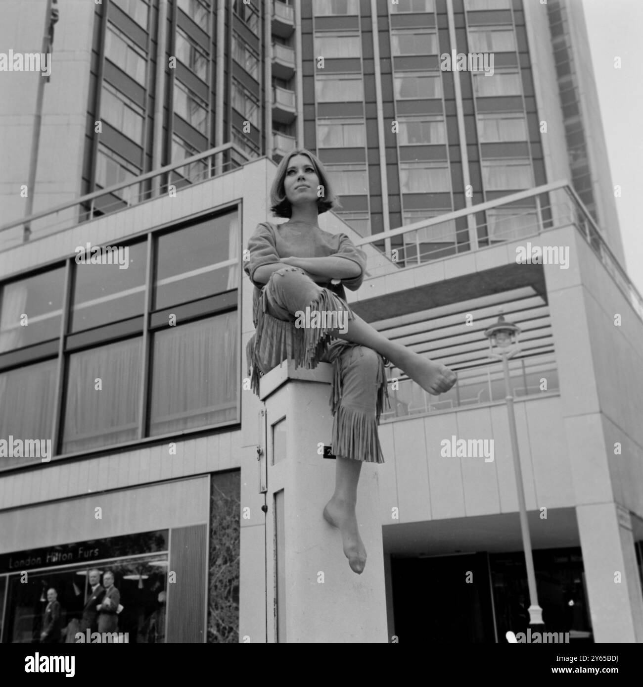London : Seated majestically on a traffic sign , in the middle of ...