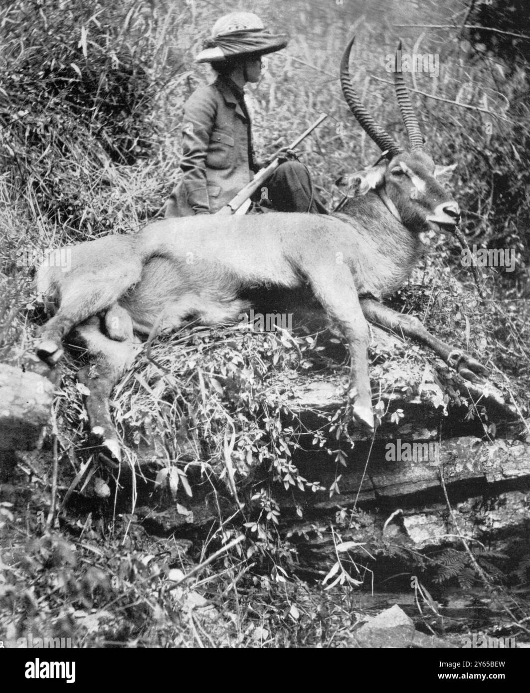 Lady Grizel Hamilton with the water buck she shot on the Thicka River ...