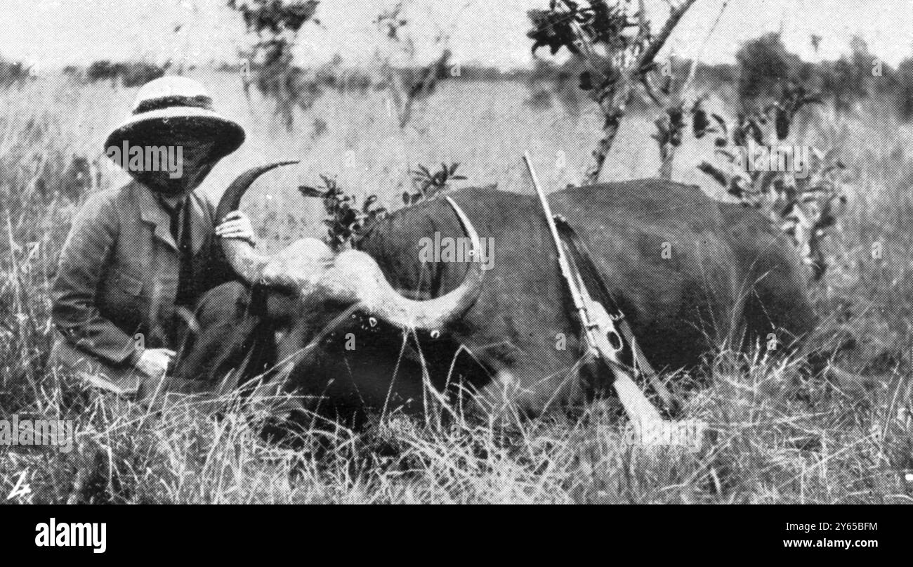 Lady Grizel Hamilton with the cape buffalo she shot in British East ...