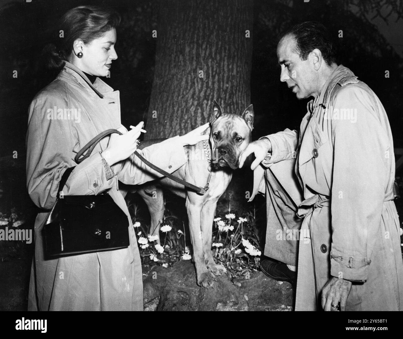 Star judges in Rome 's International Dog Show were none other than ...