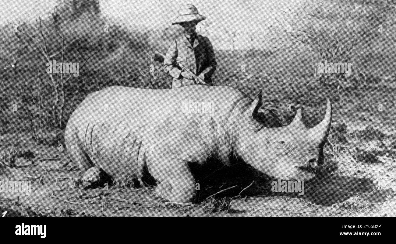 Lady Grizel Hamilton with the rhinoceros she shot in British East ...