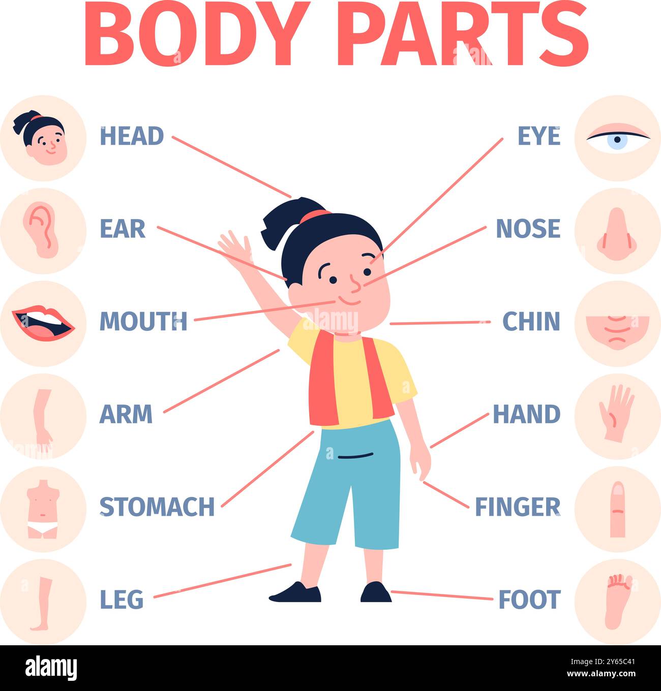 Kid body parts. Human anatomy placard with funny little flat girl ...