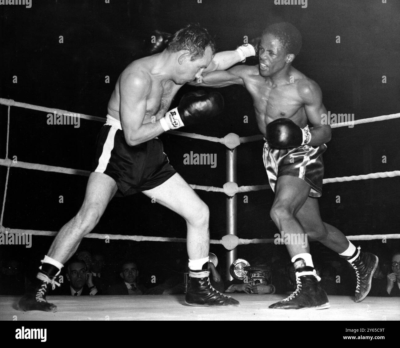 1950s boxing ring hi-res stock photography and images - Alamy