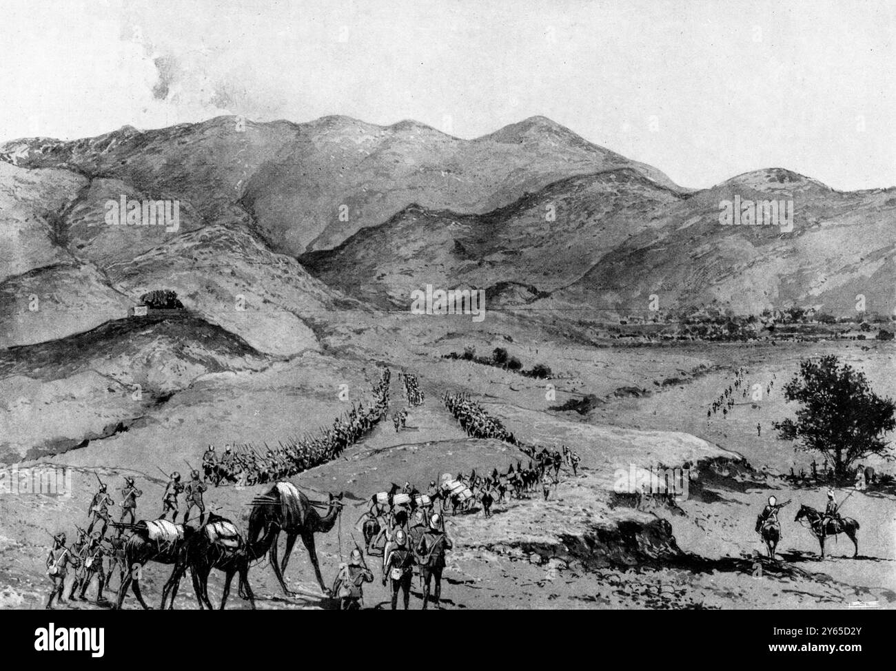 Mamund hi-res stock photography and images - Alamy