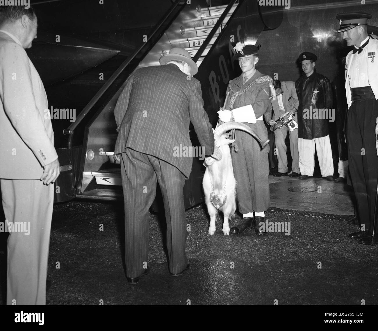 Premier Pats Goat Sir Winston Churchill pats the goat mascot of the ...