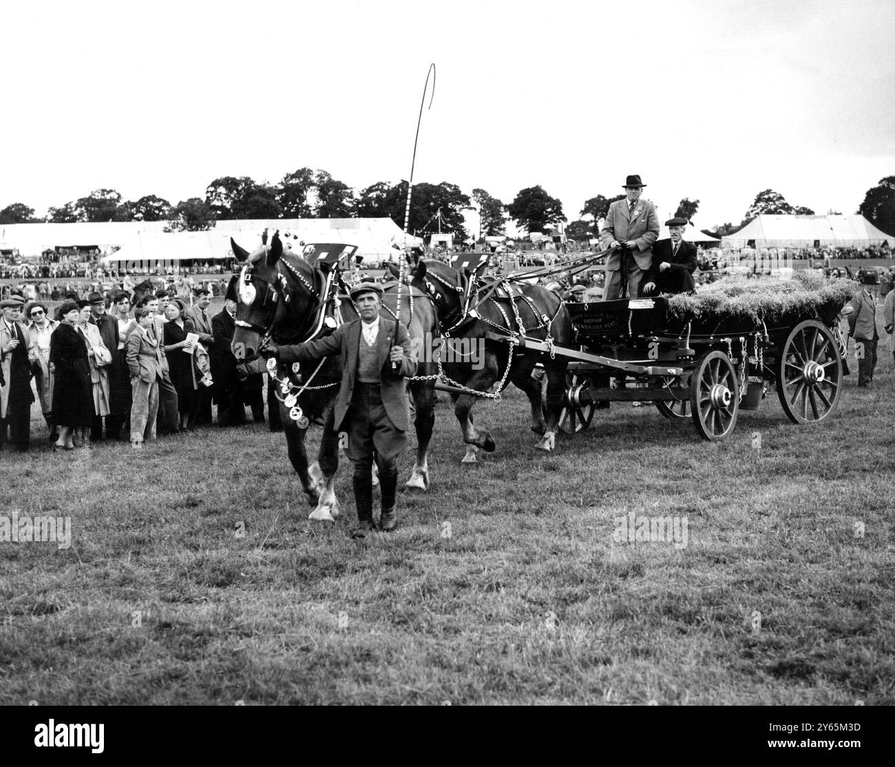 Suffolk country show Black and White Stock Photos & Images - Alamy
