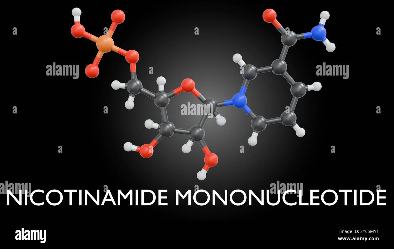 a 3D molecular structure of Nicotinamide Mononucleotide (NMN). The text "Nicotinamide ...