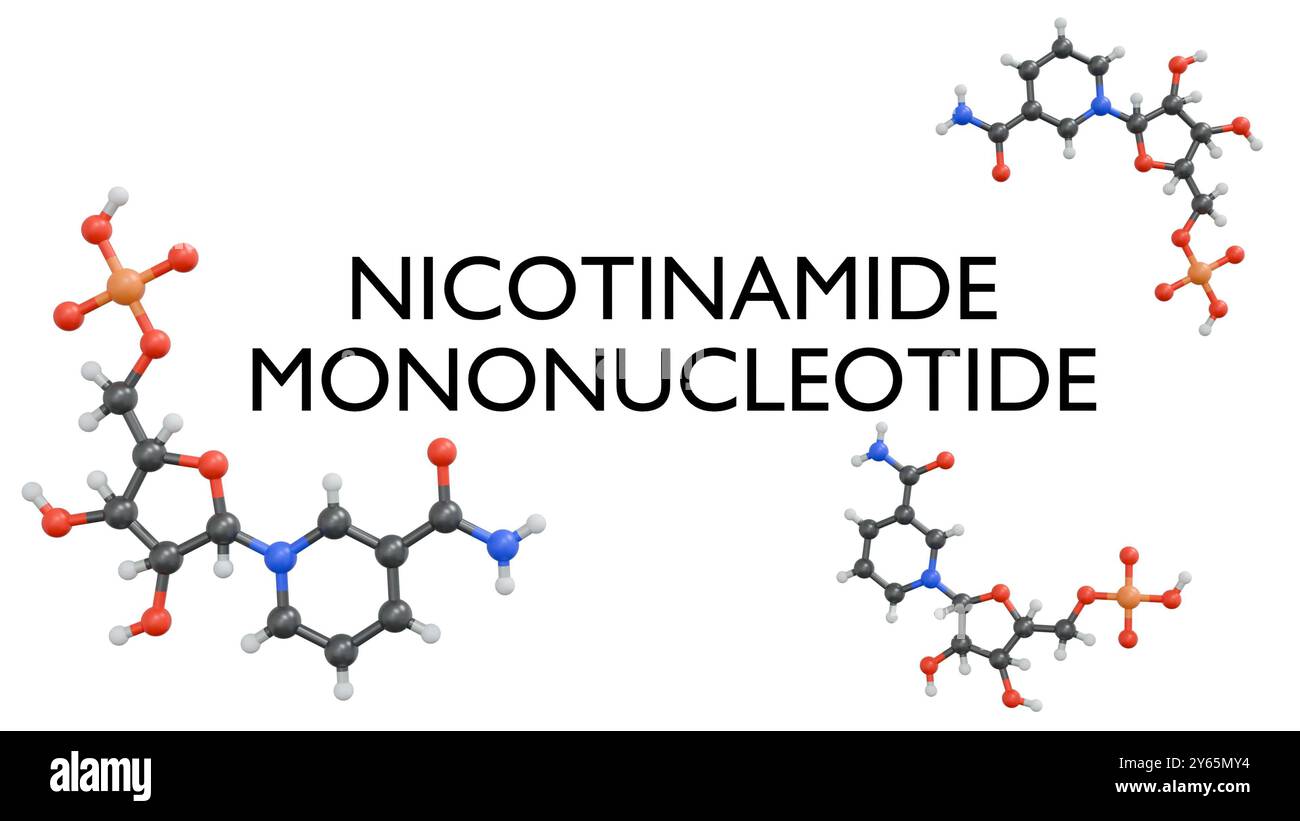 a 3D molecular structure of Nicotinamide Mononucleotide (NMN). The text "Nicotinamide ...