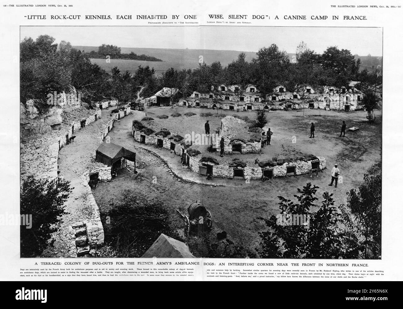 Little rock-cut kennels , each inhabited by one dog - a canine camp in ...