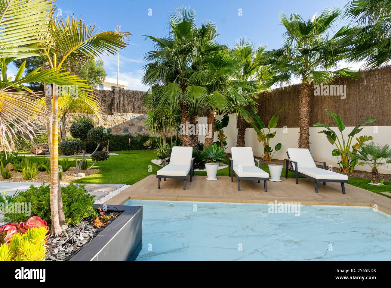 An opulent garden featuring a pristine pool surrounded by sun loungers ...
