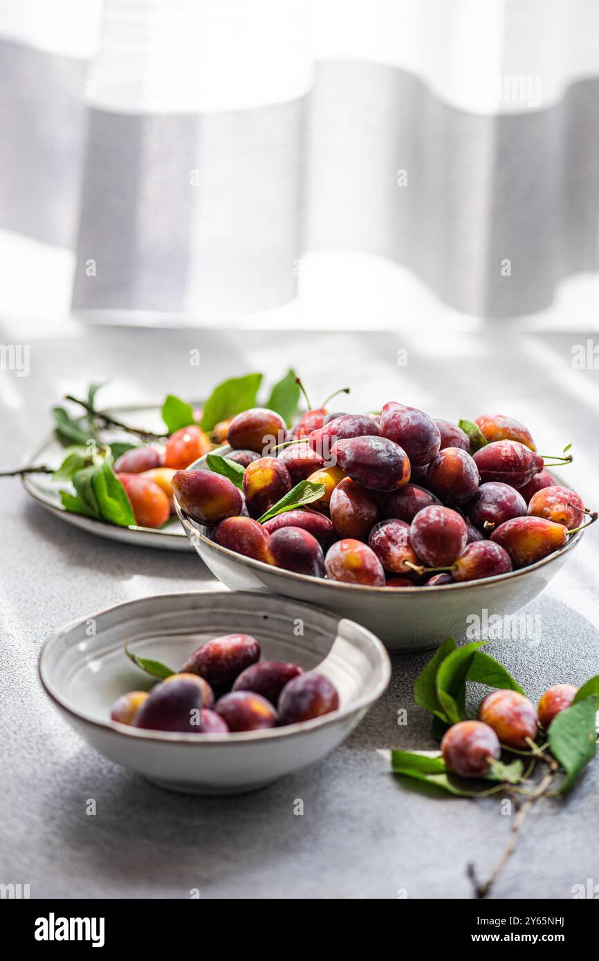 Freshly harvested organic plums in ceramic bowls, illuminated by soft ...