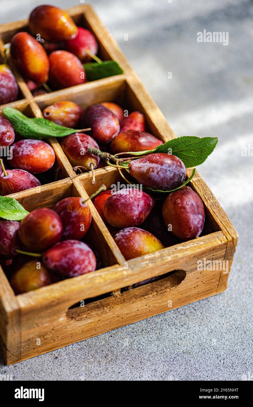 Plums in box freshly picked hi-res stock photography and images - Alamy