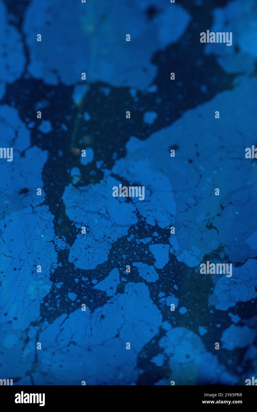 Intriguing blend of organic shapes hi-res stock photography and images ...